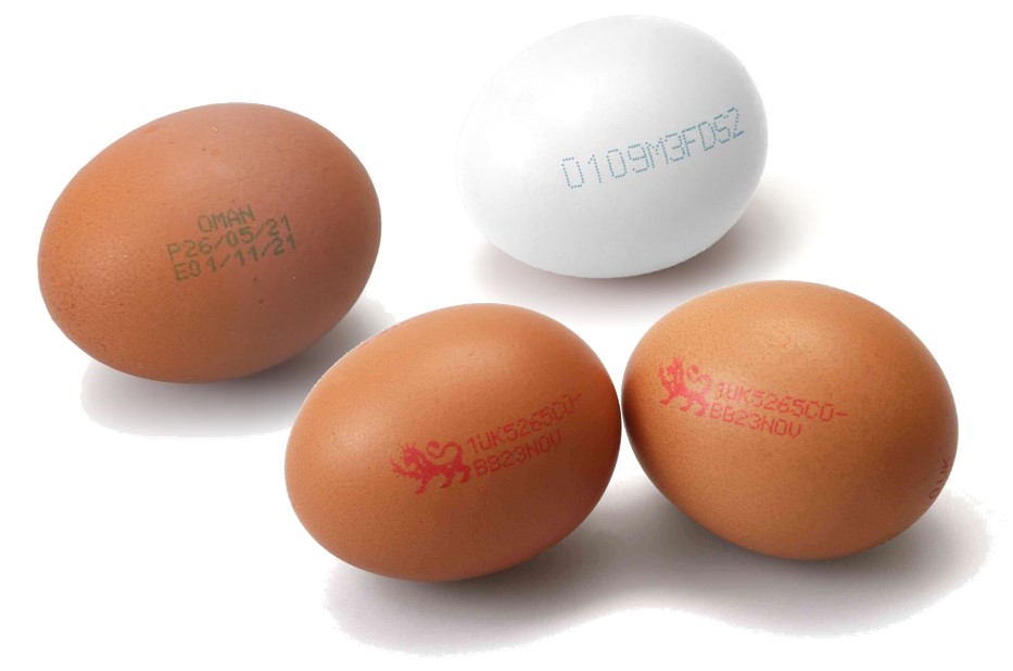 Printing on eggshells - Food